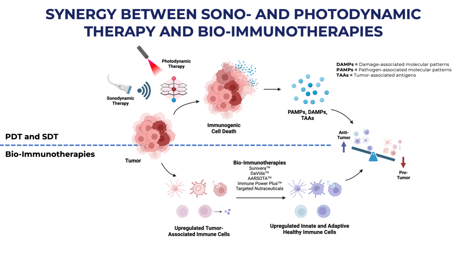 TREATING CANCER WITH SOUND WAVES: AN OVERVIEW OF SONODYNAMIC THERAPY ...